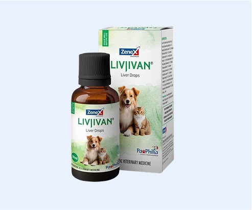 Livjivan - Zenex