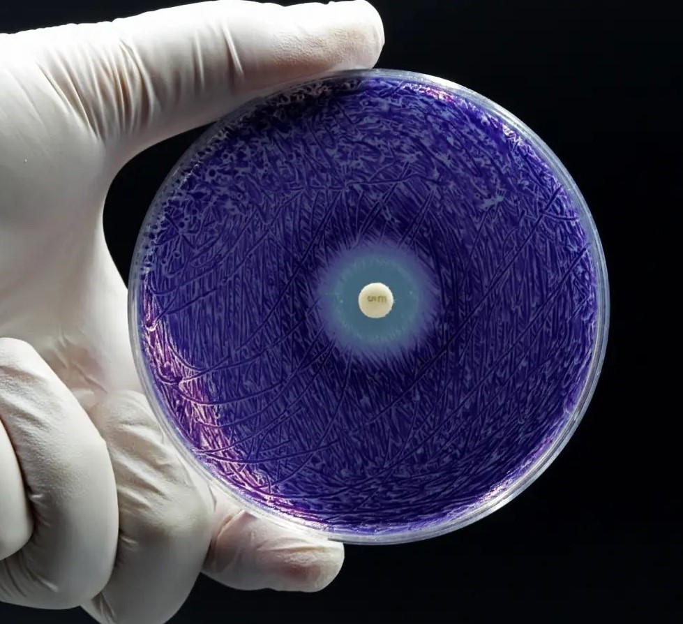 AMR: The silent pandemic that is engulfing Malaysia - Zenex