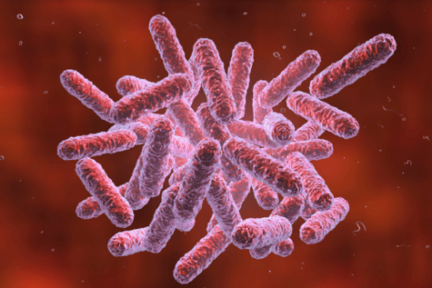 Zenex Animal Health – Leading Animal Healthcare Solutions